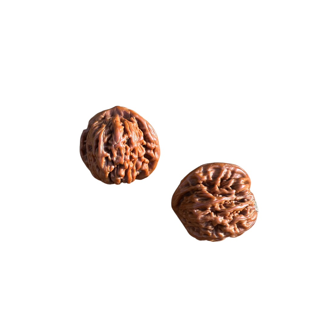 New Products– The Eastern Philosophy